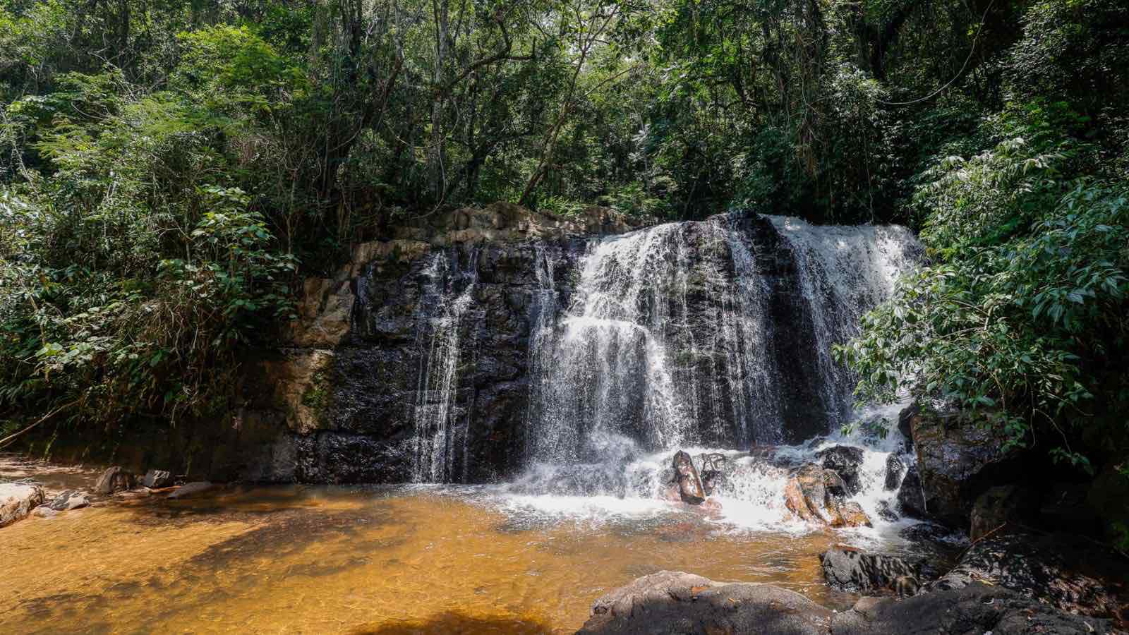 Últimos dias para se inscrever no Conselho de Gestão da Serra do Japi; veja como participar